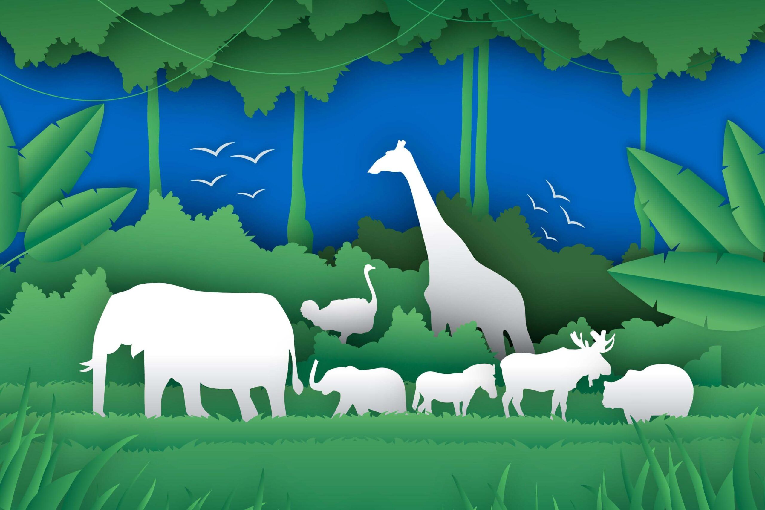 Eco-Sensitive Zones - Conservation Versus Livelihoods - Unbiased ...